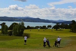 Things to do - Bay of Islands Gateway Motel & Apartments
